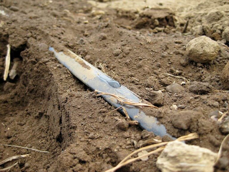 The Importance of Watering Your Foundation in Texas During the Summer ...