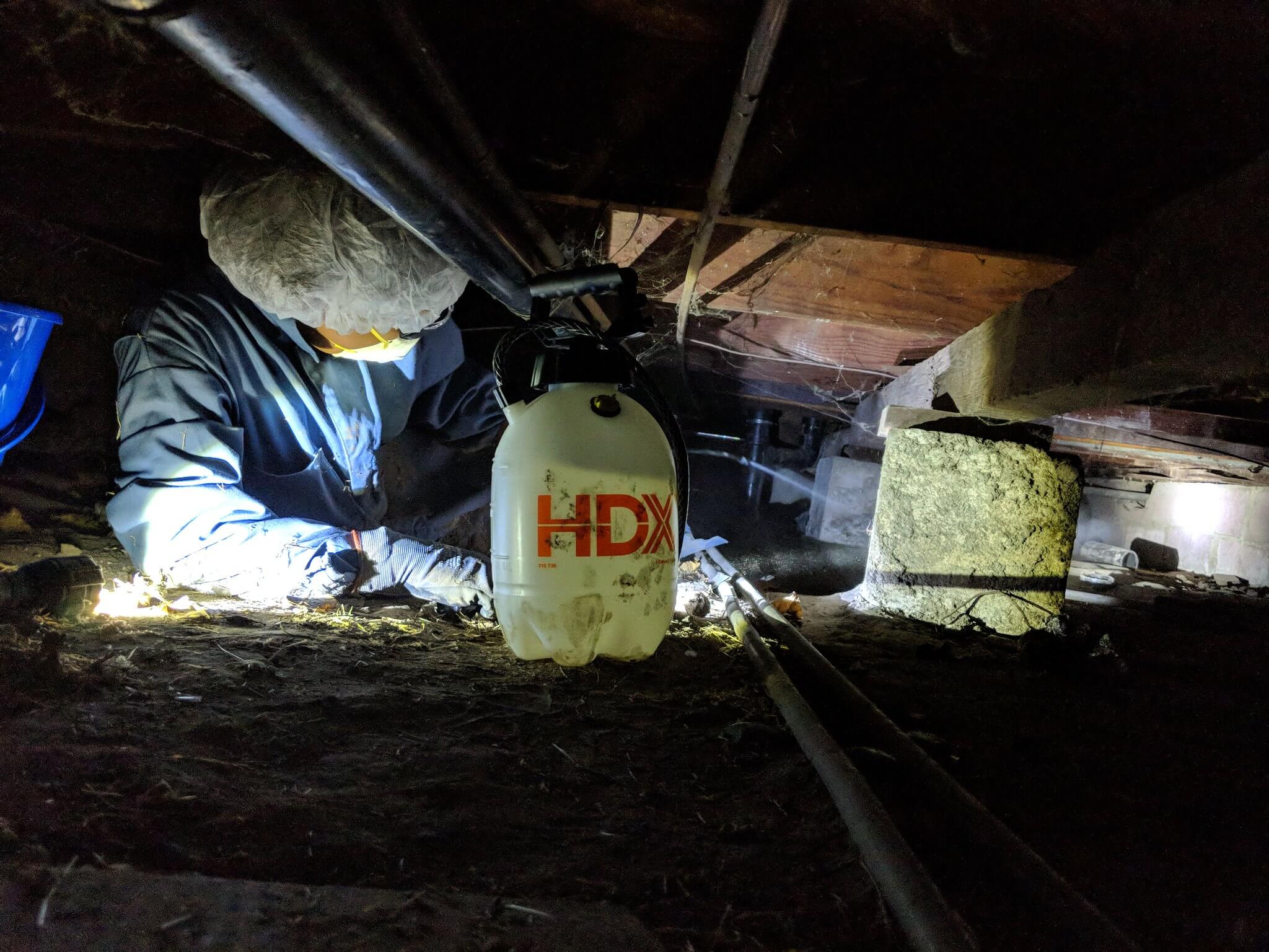 Protecting Your Home Against Bugs | Granite Foundation Repair