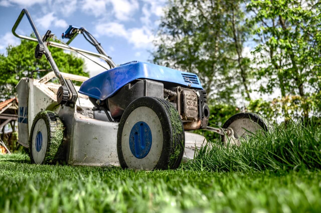 Protecting Your Home Against Bugs | Granite Foundation Repair
